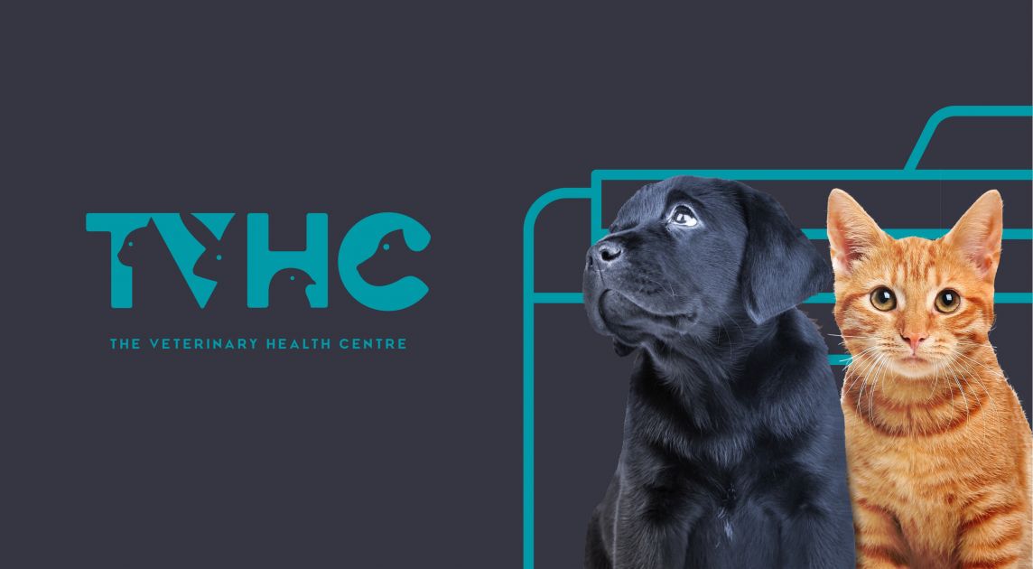 Vets in Lytham St Annes, serving the North West. | The Veterinary ...